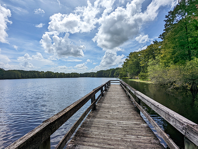 This wooden pier at Lake Townsen Preserve invites contemplation, fishing, or simply watching clouds drift by&mdash;nature's entertainment comes free of charge here. 