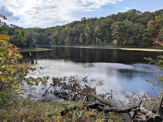 Fall's finest fashion show reflected in crystal waters. The trees dressed in their autumn best, showing off for anyone wise enough to pause.