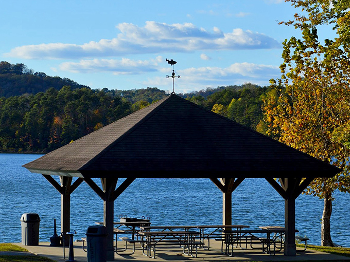 Picnic pavilion perfection – where "lunch with a view" gets a whole new meaning and sandwiches somehow taste better under rustic timber.