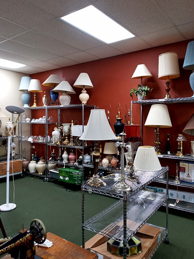 Lamp heaven! More illuminating options than a lightbulb store, each with its own story to tell.