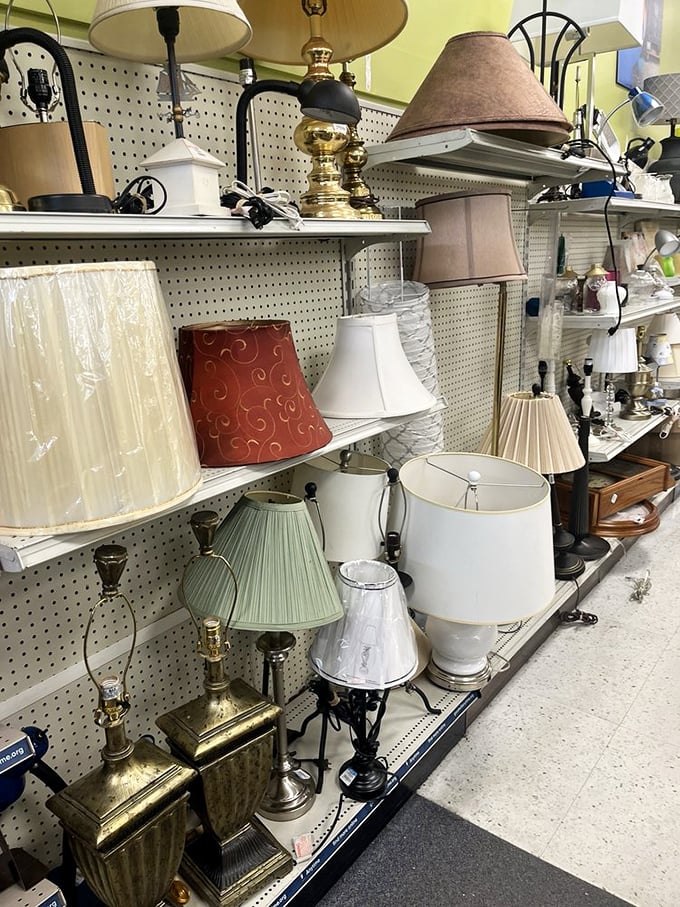 Lamp lovers, rejoice! From brass beauties to contemporary cool, these pre-loved lighting options are ready to brighten your home affordably.