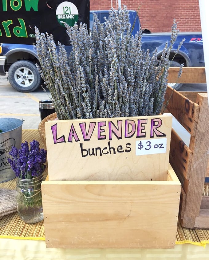 Fragrant lavender bunches stand at attention, ready to perfume your home or become that secret ingredient in your next baking adventure.