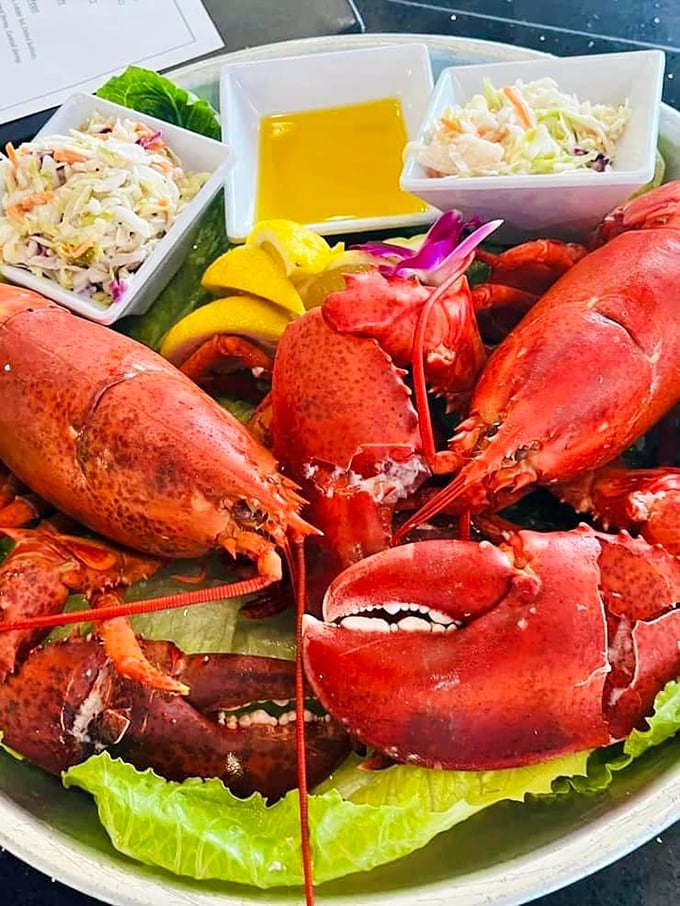 These lobsters aren't just dinner; they're a celebration on a plate. The kind of feast that makes you want to wear a bib with absolutely zero shame.