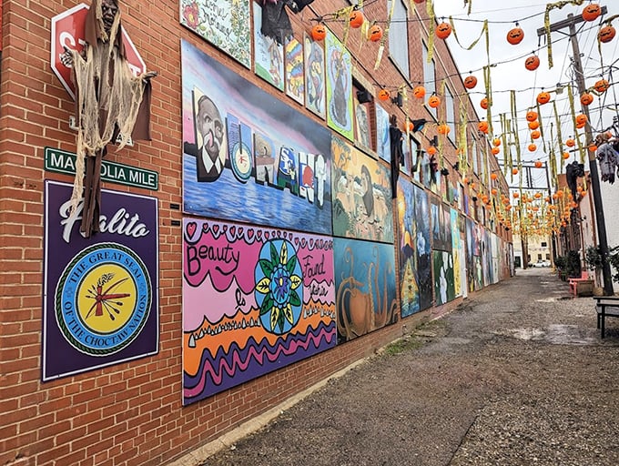 Magnolia Mile Art Alley transforms brick walls into canvases of expression, proving culture doesn't require big-city prices.