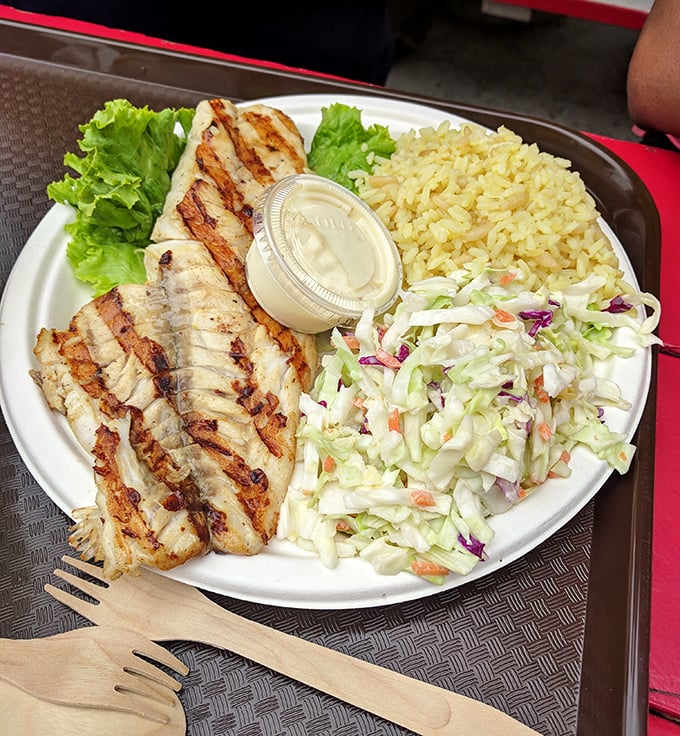 Grilled to perfection with those beautiful char marks. This mahi-mahi plate proves sometimes the simplest preparations let great seafood shine brightest.