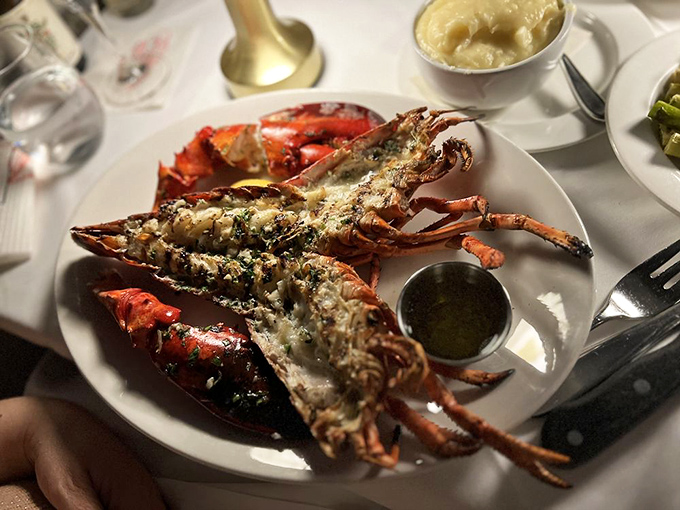 Maine lobster, split and grilled to perfection&mdash;nature's perfect food made even better by a chef who knows when to stop tinkering.