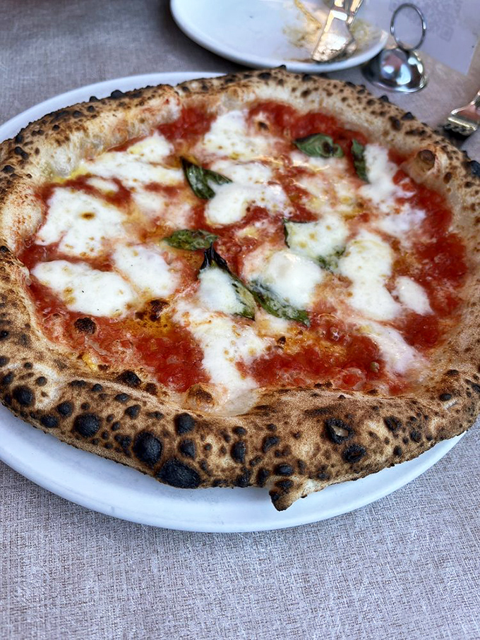 Pizza perfection doesn't need to shout &ndash; the Margherita's leopard-spotted crust, bright tomatoes, and melty mozzarella speak volumes in their simplicity.