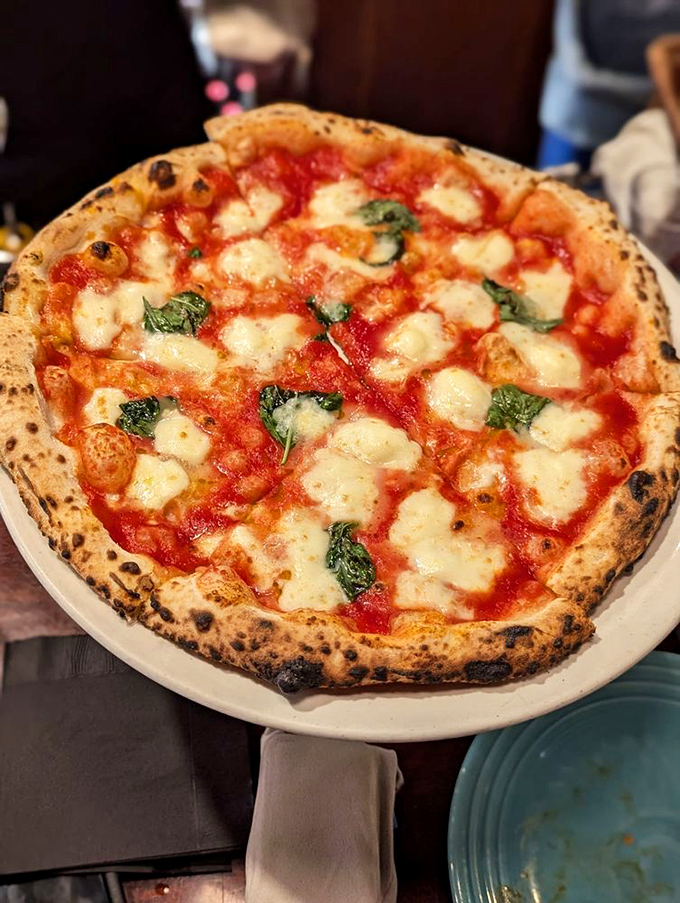 The Margherita pizza that beat Italy at its own game. Those leopard spots on the crust are the pizza equivalent of Olympic gold medals.