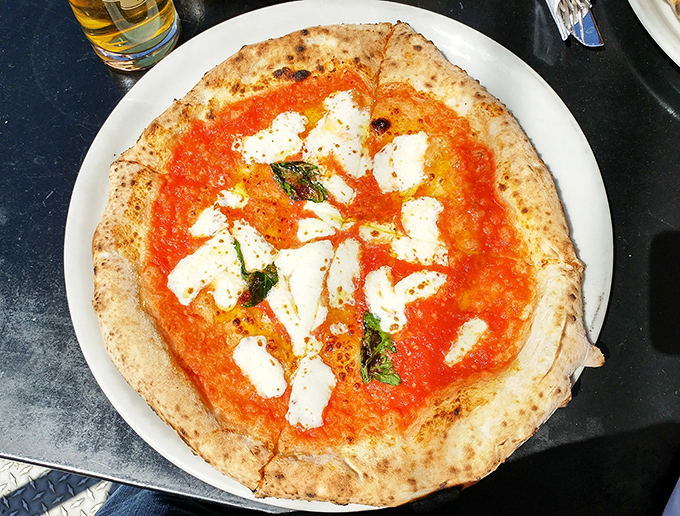The Margherita pizza &ndash; where simplicity becomes art. House-made mozzarella melting into bright tomato sauce like a warm Italian hug on a plate.