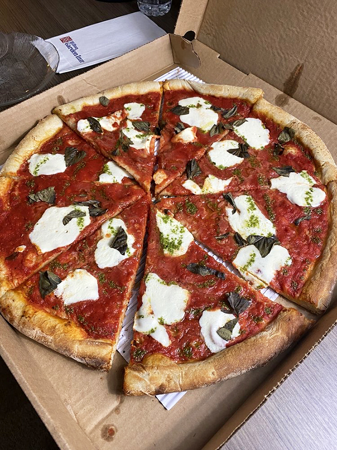 Margherita pizza in its purest form. Fresh basil, bright tomato sauce, and pools of melted mozzarella on a crust that's traveled through fire.