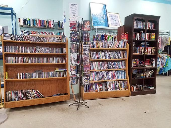 The media section: where forgotten DVDs and paperbacks find new audiences, like a literary and cinematic witness protection program.