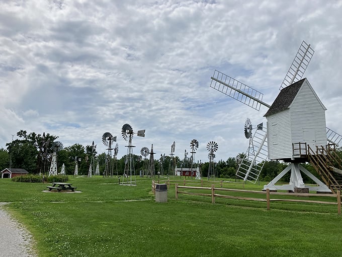 The Mid-America Windmill Museum isn't just spinning its wheels&mdash;it's a whimsical forest of historic technology that once powered the heartland.