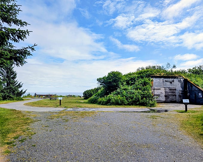 This bunker-turned-museum at Fort Abercrombie has been reclaimed by nature, proving that even military history eventually goes green in Alaska.