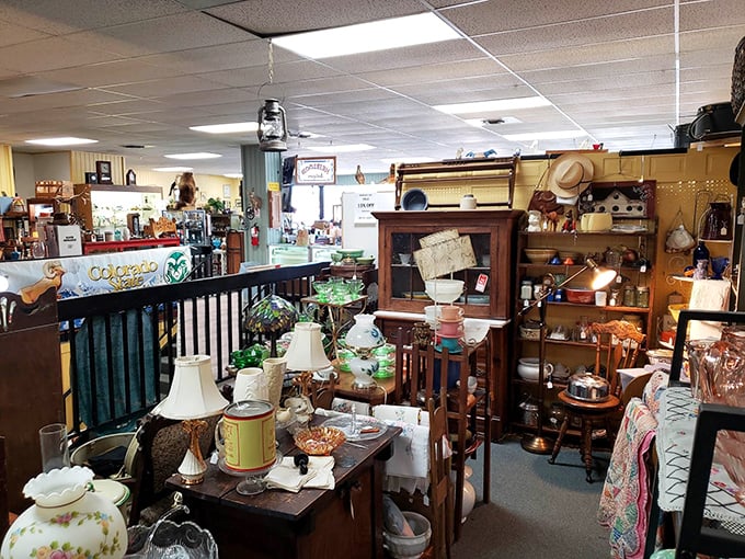 A treasure hunter's paradise where Colorado memorabilia mingles with vintage lamps and furniture pieces waiting for their second act.