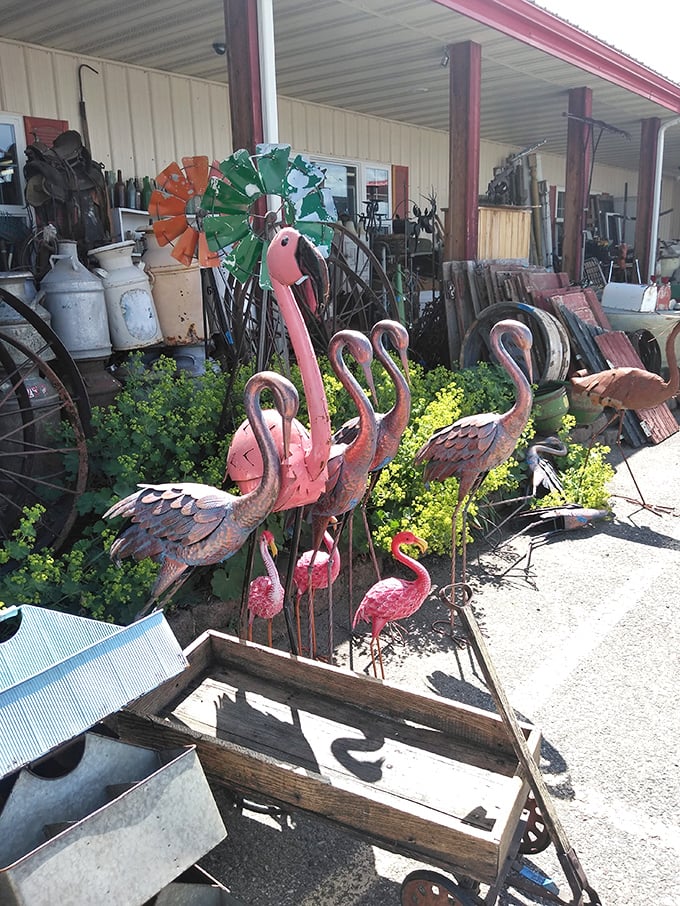 A flock of flamingos stands guard near vintage farm equipment. Who knew these pink sentinels would look so at home in Montana?