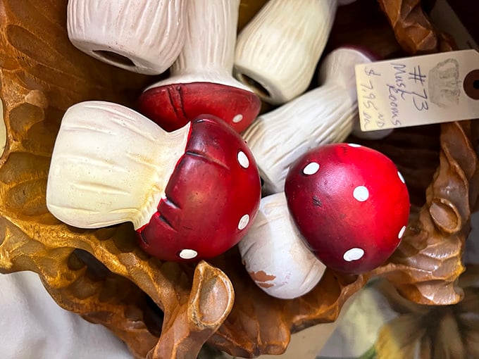 These charming mushroom figurines prove that sometimes the quirkiest finds make the most delightful conversation pieces. Alice in Wonderland would approve!