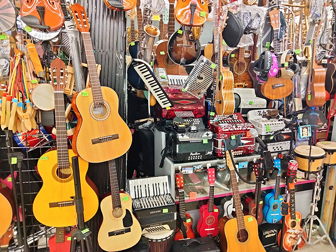 A musical menagerie where guitars, accordions, and percussion instruments wait patiently for their next gig. Someone's garage band is about to get lucky.