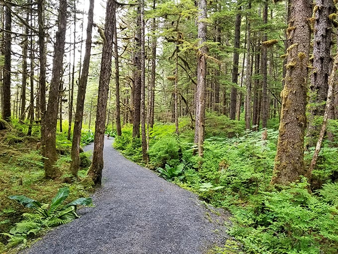 This isn't just a trail; it's nature's cathedral. The kind of path that makes you whisper even when nobody's around.
