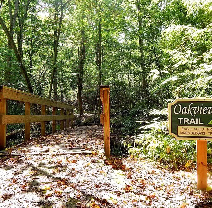 Oakview Trail bridges the gap between civilization and wilderness. Those fallen leaves are nature's version of a welcome mat.