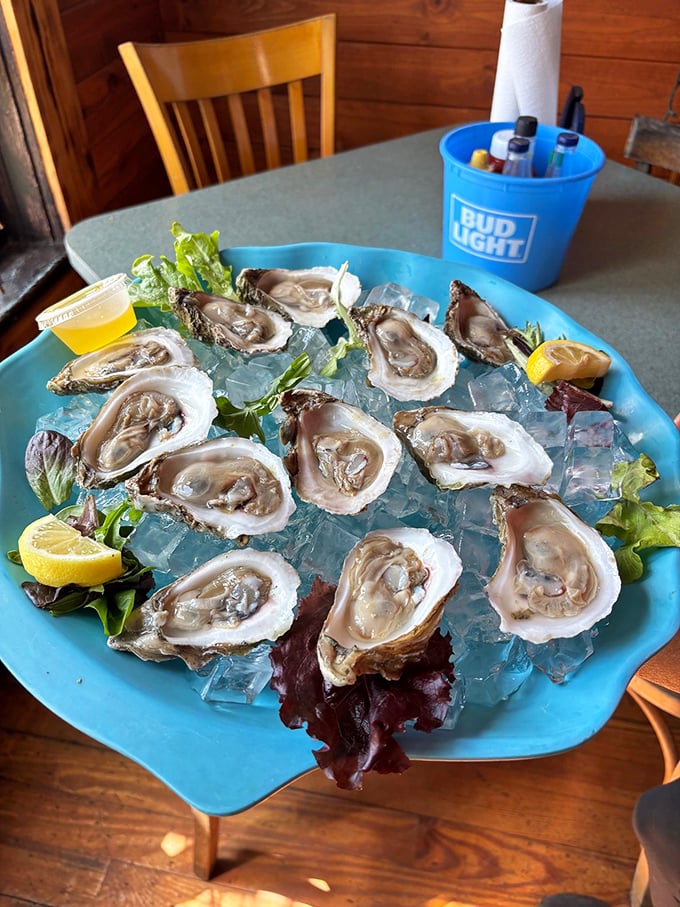 Fresh oysters on ice&mdash;nature's perfect appetizer. Like opening little treasure chests from the sea, each one a briny, delicious surprise.