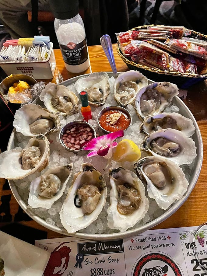 Fried oysters lounging in their crispy golden jackets, ready for their close-up with cocktail sauce.