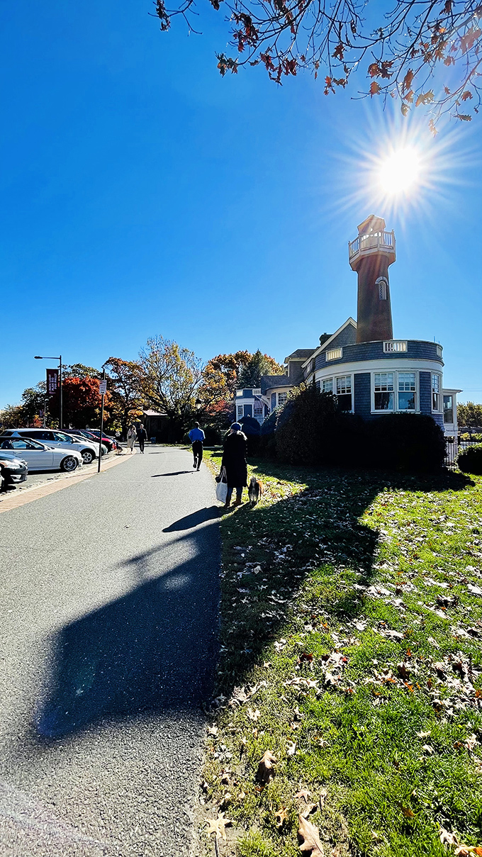 Fall brings leaf-peepers and dog-walkers alike to admire the lighthouse. Even the sun seems to position itself perfectly for photos.