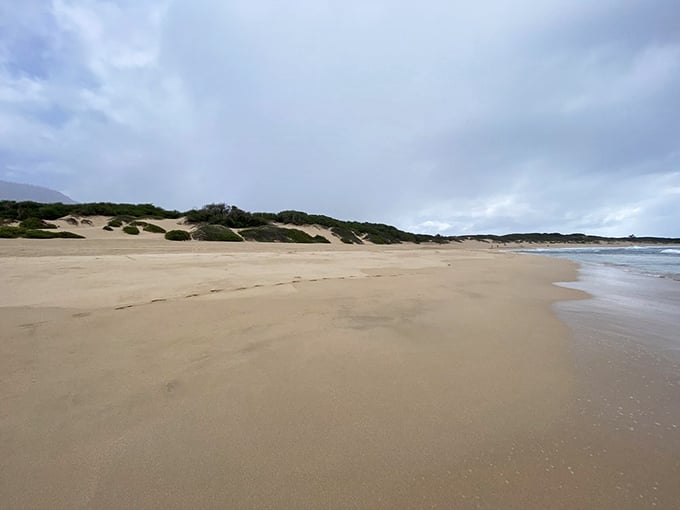 Nature's own cathedral of sand and sky. The kind of expansive beach that makes you feel wonderfully insignificant in the best possible way.