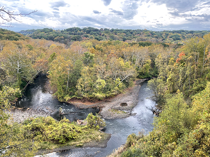 The Cuyahoga River curves like a painter's brushstroke through autumn's canvas. Water and foliage performing their seasonal duet.