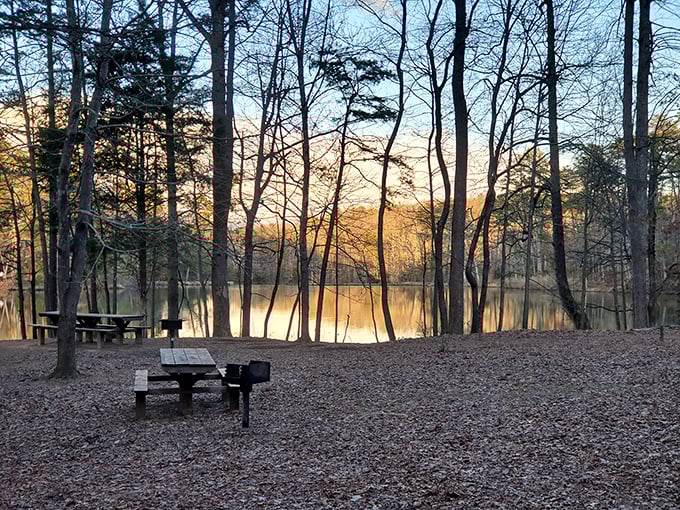 Nature's golden hour transforms Paris Mountain State Park into a meditation space that beats any overpriced yoga retreat.