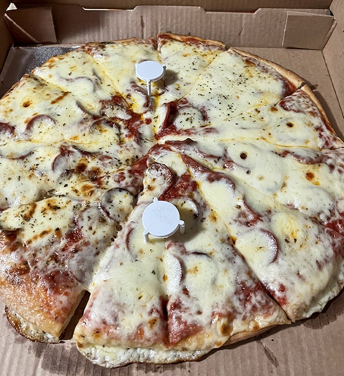 Cheese stretching to the horizon on this perfect pie. The kind of pizza that makes you wonder why you ever settled for less.