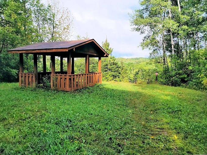 A wooden gazebo stands sentinel in a clearing, offering shelter and panoramic views&mdash;nature's version of the perfect living room.