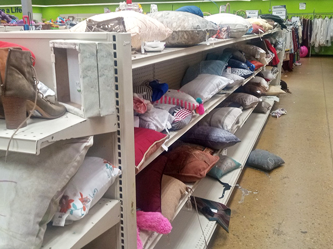 The pillow section: where interior decorators on a budget find their soft landing and guest bedrooms get their second chance.