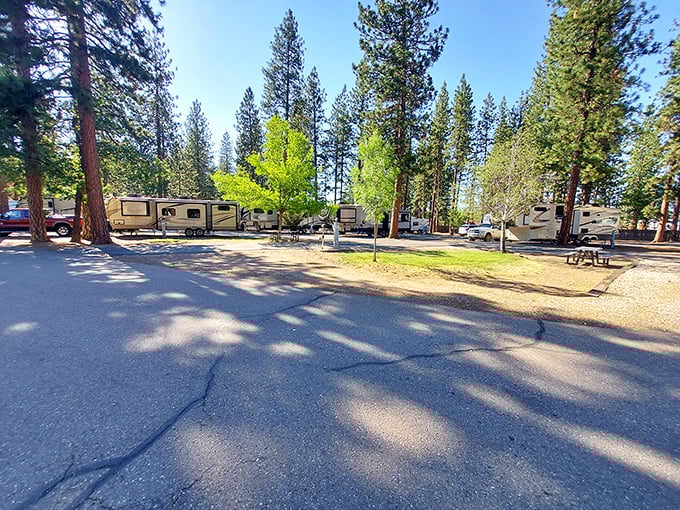 Pioneer RV Park offers what luxury resorts can't &ndash; the simple pleasure of parking your home-on-wheels among towering pines where the morning air smells better than any hotel lobby.