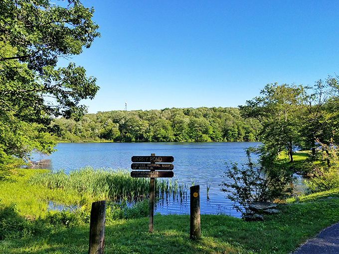 Signposts pointing to adventure at Pittsfield State Forest, where the water sparkles with invitation and trails beckon explorers.