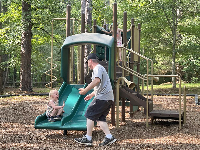 That playground slide has launched more giggles and grass-stained knees than you can count&mdash;childhood's greatest hits in action.
