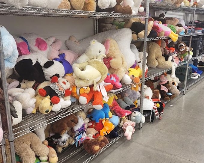 A plush menagerie awaits adoption, their button eyes silently pleading, "Take me home!" to passing shoppers with soft spots for soft toys.