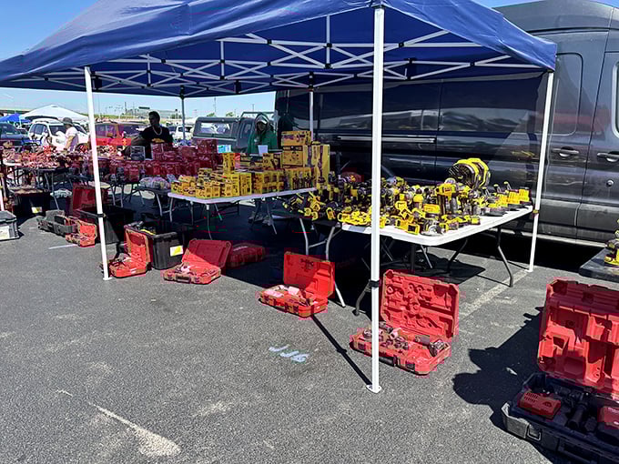 Tool paradise for the DIY dreamer. Yellow and red power tools stand at attention, ready to tackle weekend projects in new hands.