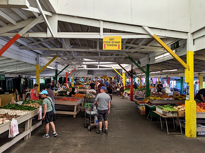 Produce paradise under colorful beams. These vegetables didn't spend more time traveling than you did on your last vacation.