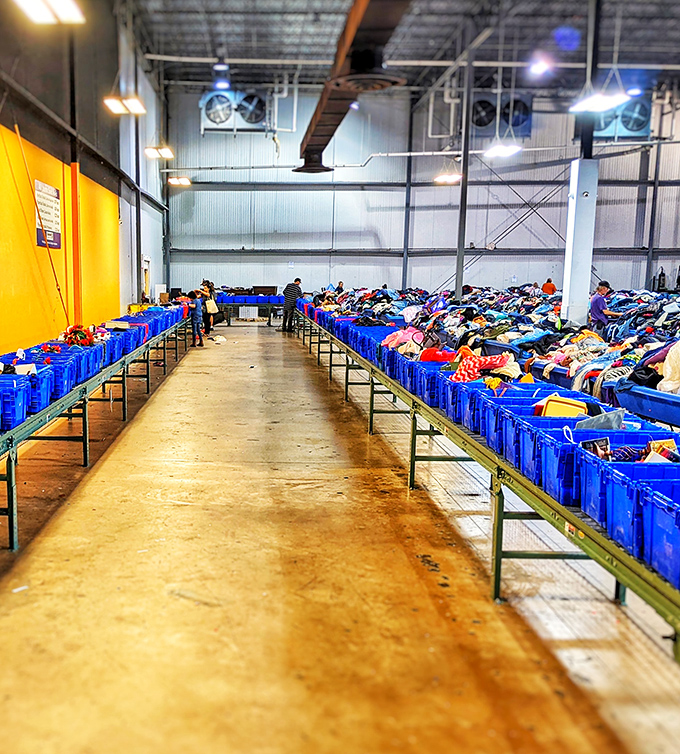The grand canyon of thrift—rows of blue bins creating pathways to potential discoveries that'll have you texting friends in disbelief.