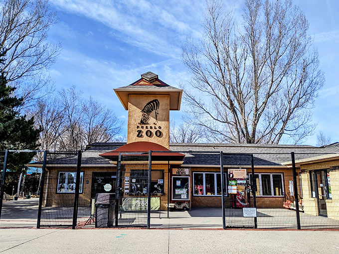 The Pueblo Zoo entrance promises wild encounters without the wild price tag of bigger city attractions.