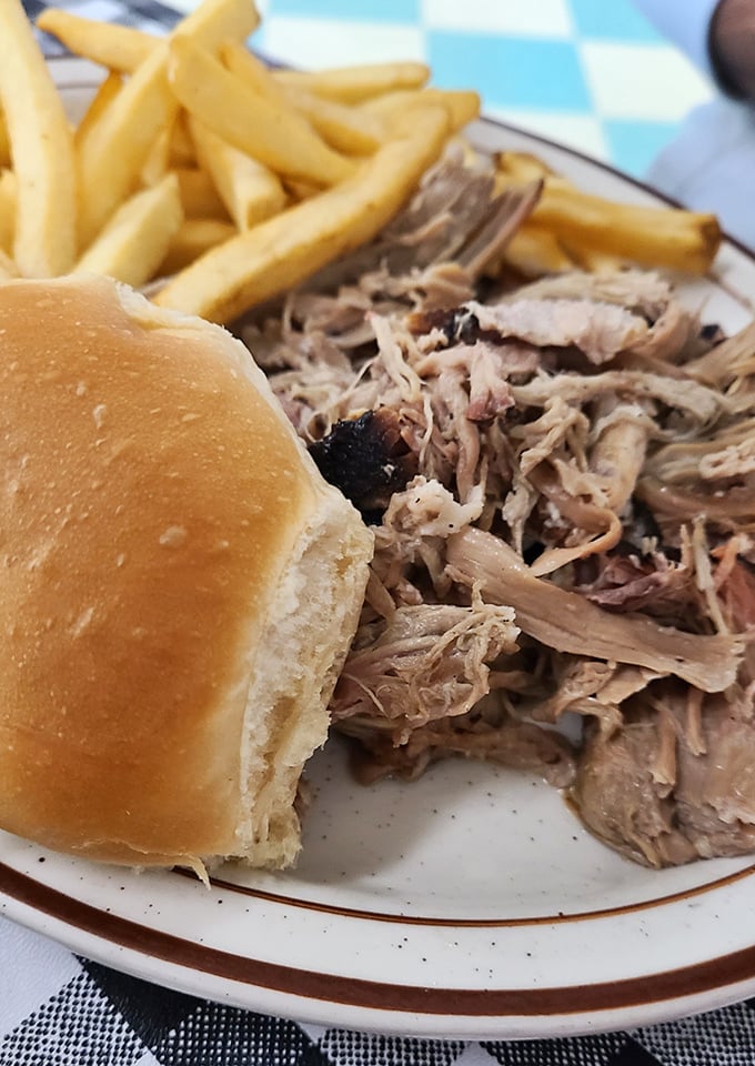 Tender, slow-cooked pulled pork alongside golden fries. This plate doesn't need fancy presentation&mdash;the flavor does all the talking.