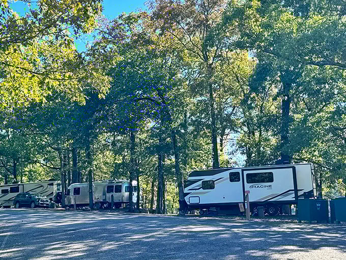 RV heaven where the neighbors are friendly, the views are spectacular, and nobody complains about your early morning coffee ritual.