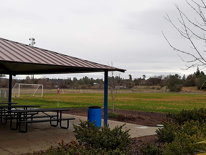 Railhead Park's soccer fields and picnic areas prove retirement doesn't mean giving up your referee whistle or BBQ tongs.