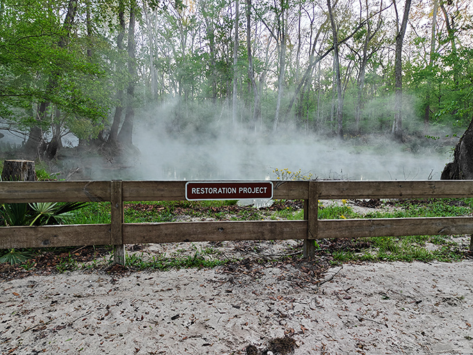 Morning mist performs its daily ballet over the springs. This ethereal scene at dawn transforms an already magical place into something straight out of a fantasy novel.