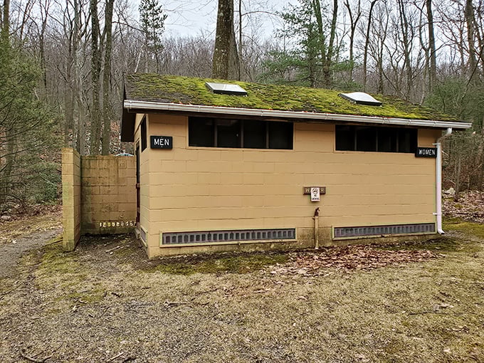 Even the restrooms at Big Spring embrace nature with moss-covered roofs. Practical? Yes. Instagram-worthy? Absolutely.
