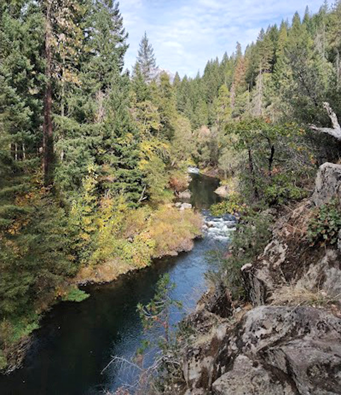 The Pit River carves its patient path through Shasta-Trinity National Forest, a liquid highway that's been flowing since before humans invented the wheel.