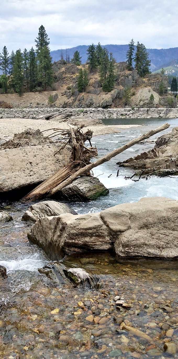 Nature's obstacle course: The Thompson River navigates a rocky passage with more grace than most of us show in the express checkout line.
