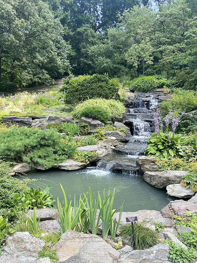 A cascading waterfall garden that makes you wonder if Mother Nature moonlights as a landscape architect when she's not busy with the weather.