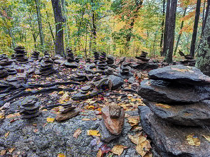 Stone stacking&mdash;the original Instagram filter. These balanced cairns create a mystical forest gallery that would make Andy Goldsworthy proud.