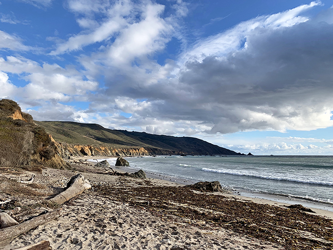 Beach therapy, Big Sur style. Where driftwood sculptures and crashing waves provide better entertainment than anything on your streaming services.